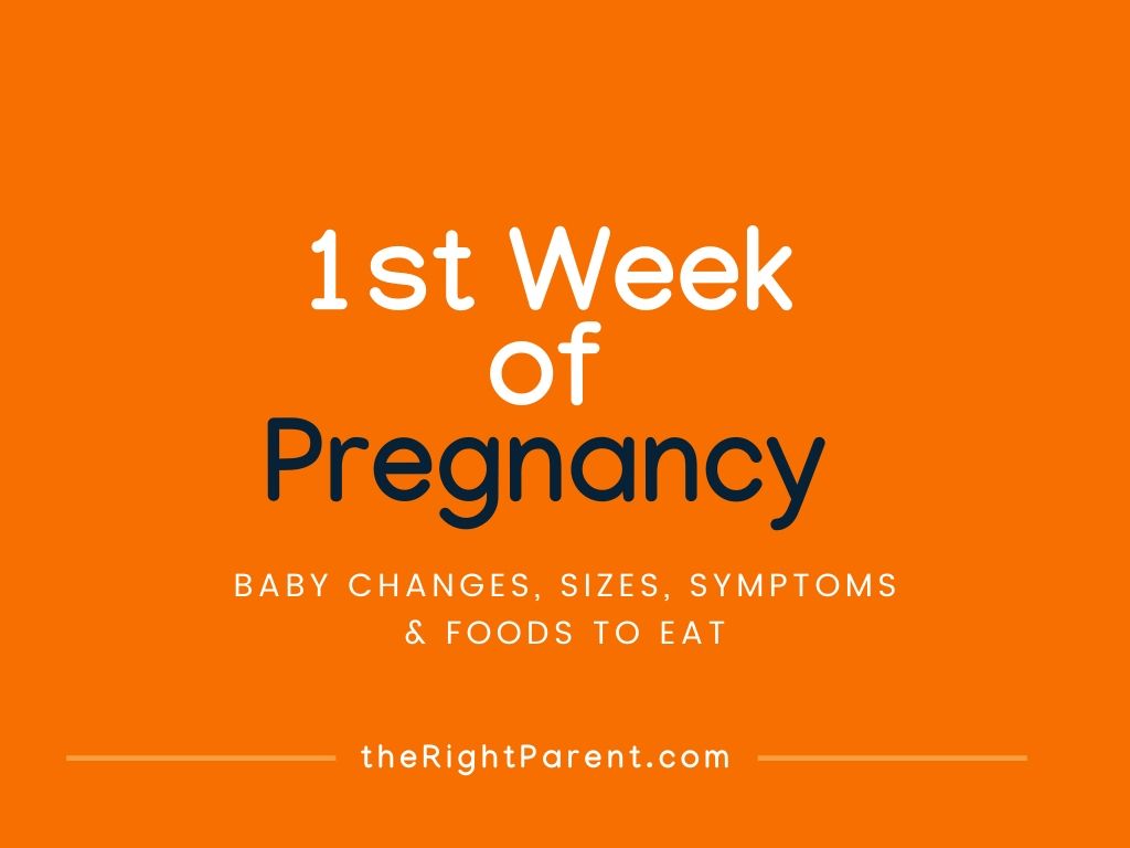 1st Week of Pregnancy: Changes, Symptoms, Signs & More | Week By Week
