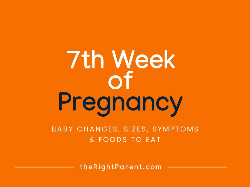 7th Week of Pregnancy: Baby Changes, Symptoms, Foods & Care