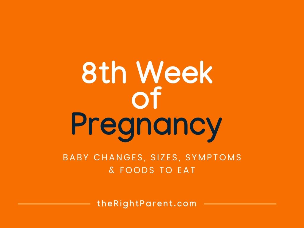 8th Week of Pregnancy: Baby Changes, Symptoms, Food & Care