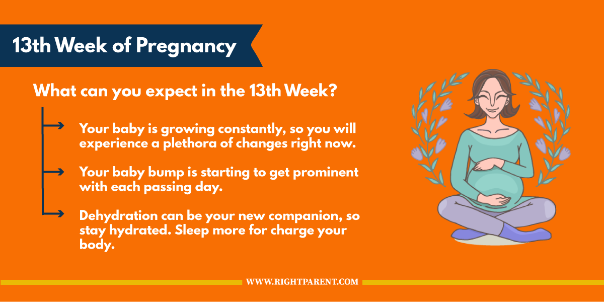 13th Week of Pregnancy: Body Changes, Symptoms, Food & Care