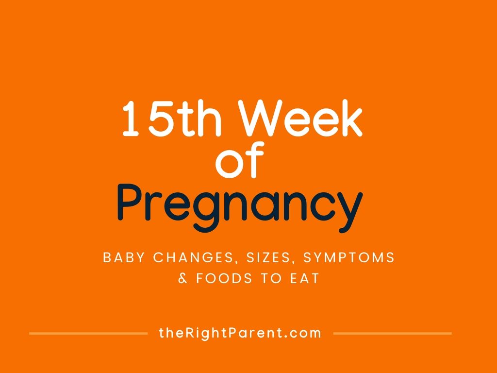 15th Week of Pregnancy: Body Changes, Symptoms, Food & Care