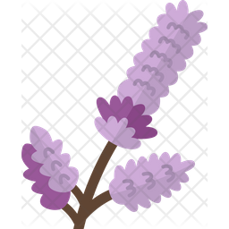 188+ Heather Nicknames: Exploring Unique Handles for the Name